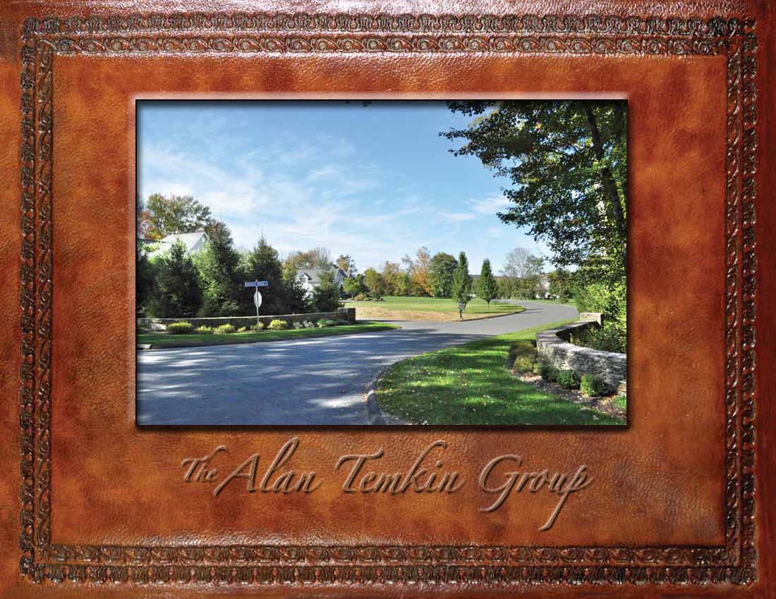 The Alan Temkin Group