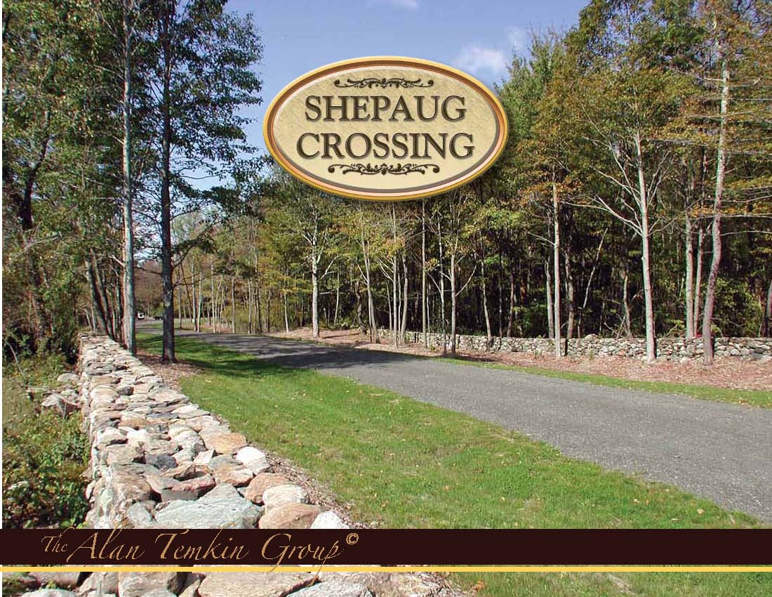 The Alan Temkin Group