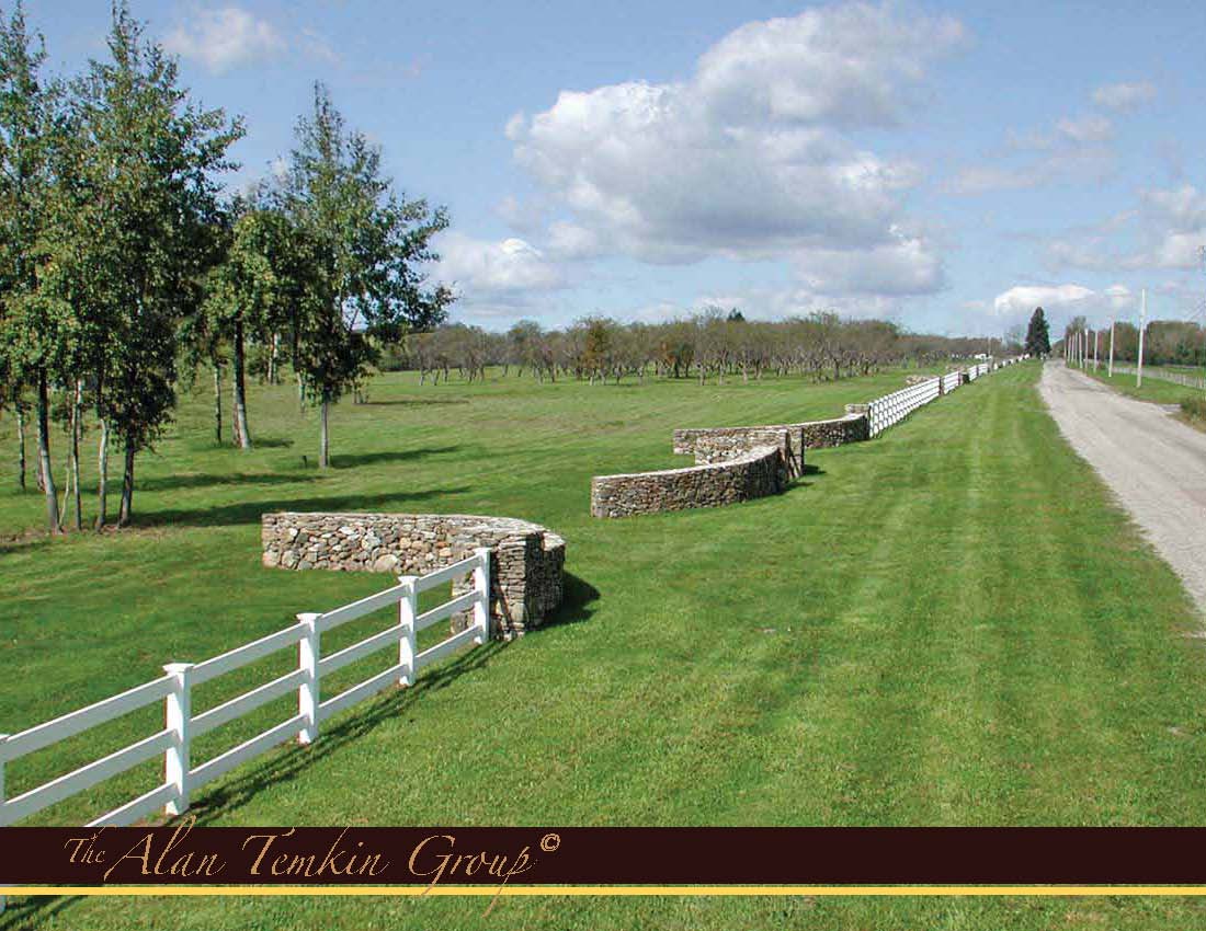 The Alan Temkin Group