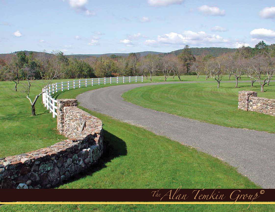 The Alan Temkin Group