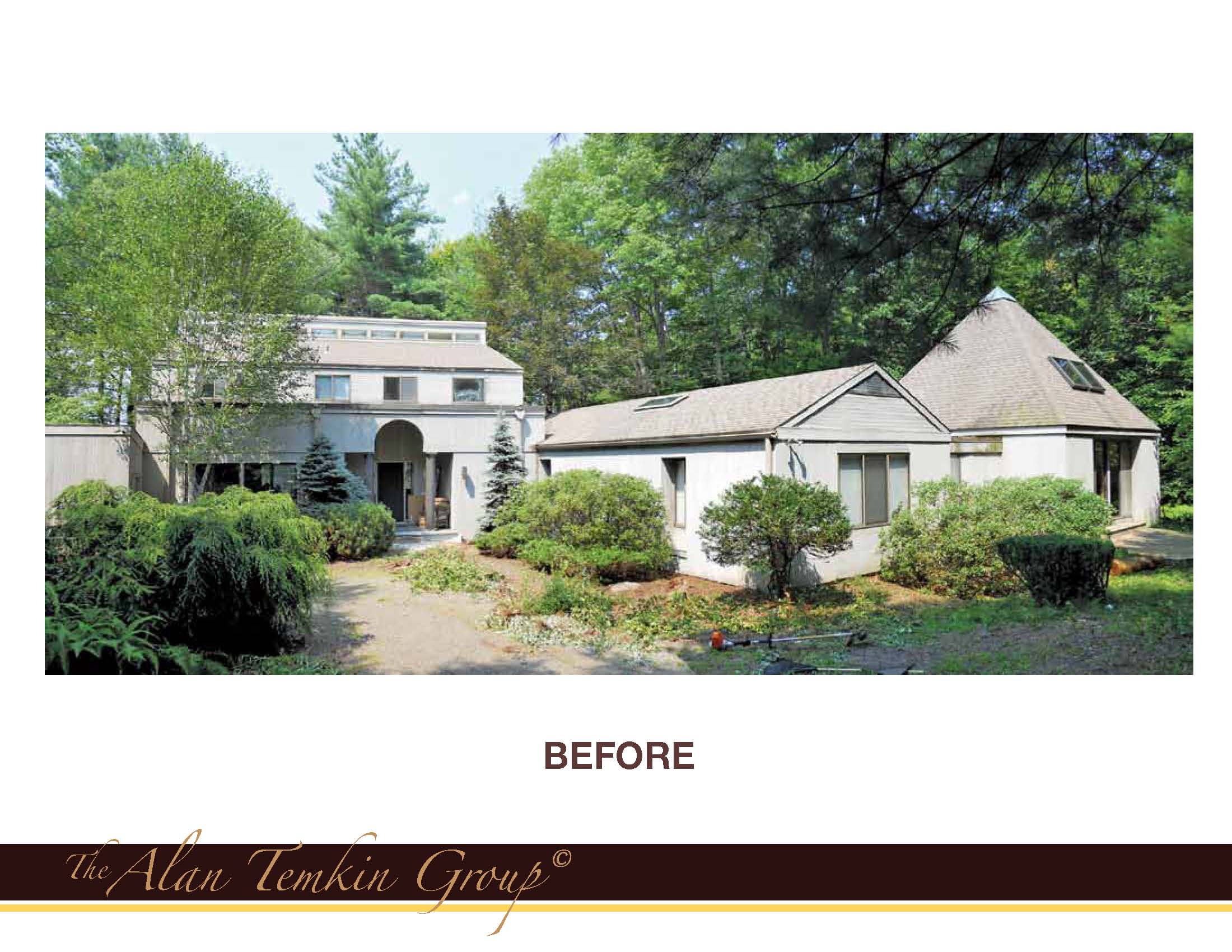 The Alan Temkin Group